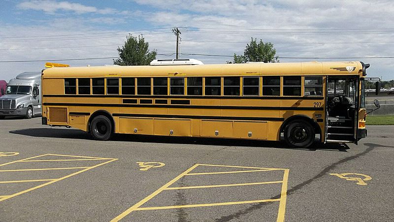 2008 IC Corporation RE300 (For Sale) | Bus | #239548