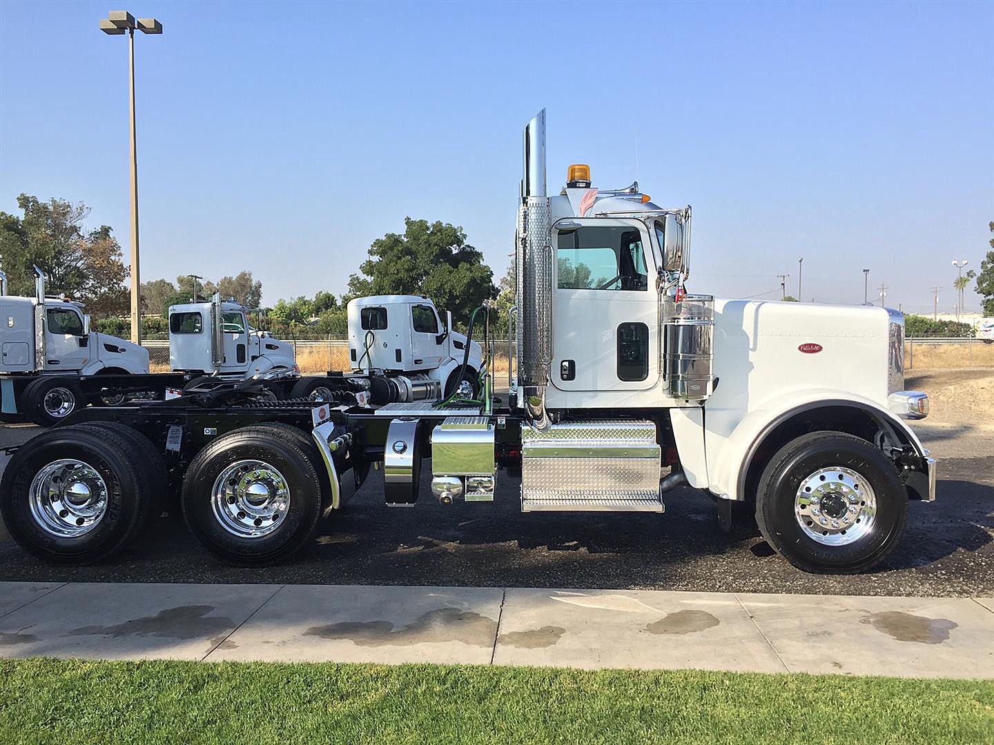 2018 Peterbilt 389 (For Sale) | Day Cab | #482526