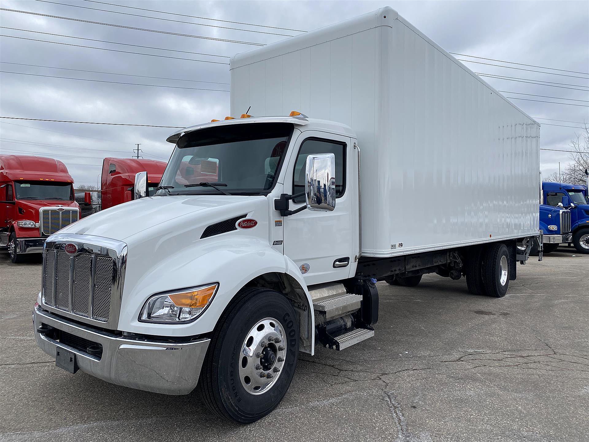 2025 Peterbilt 536 For Sale | Box Truck | #30E708104