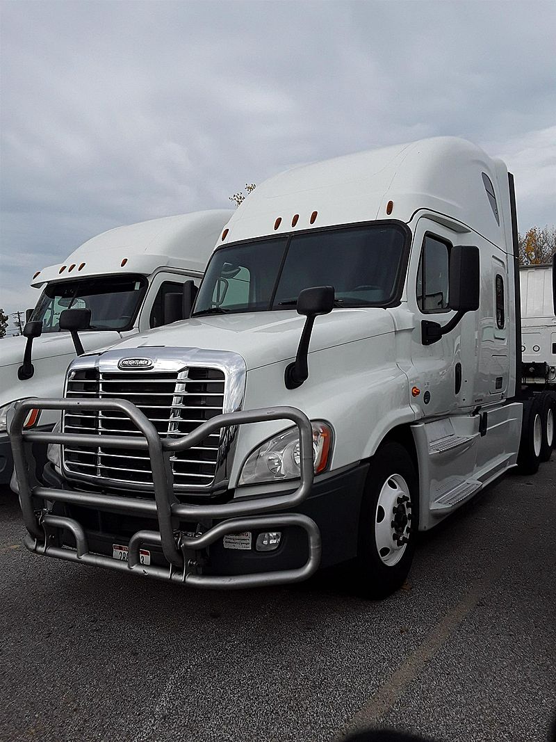 2020 Freightliner CASCADIA 125 For Sale | 72" Sleeper | #875528