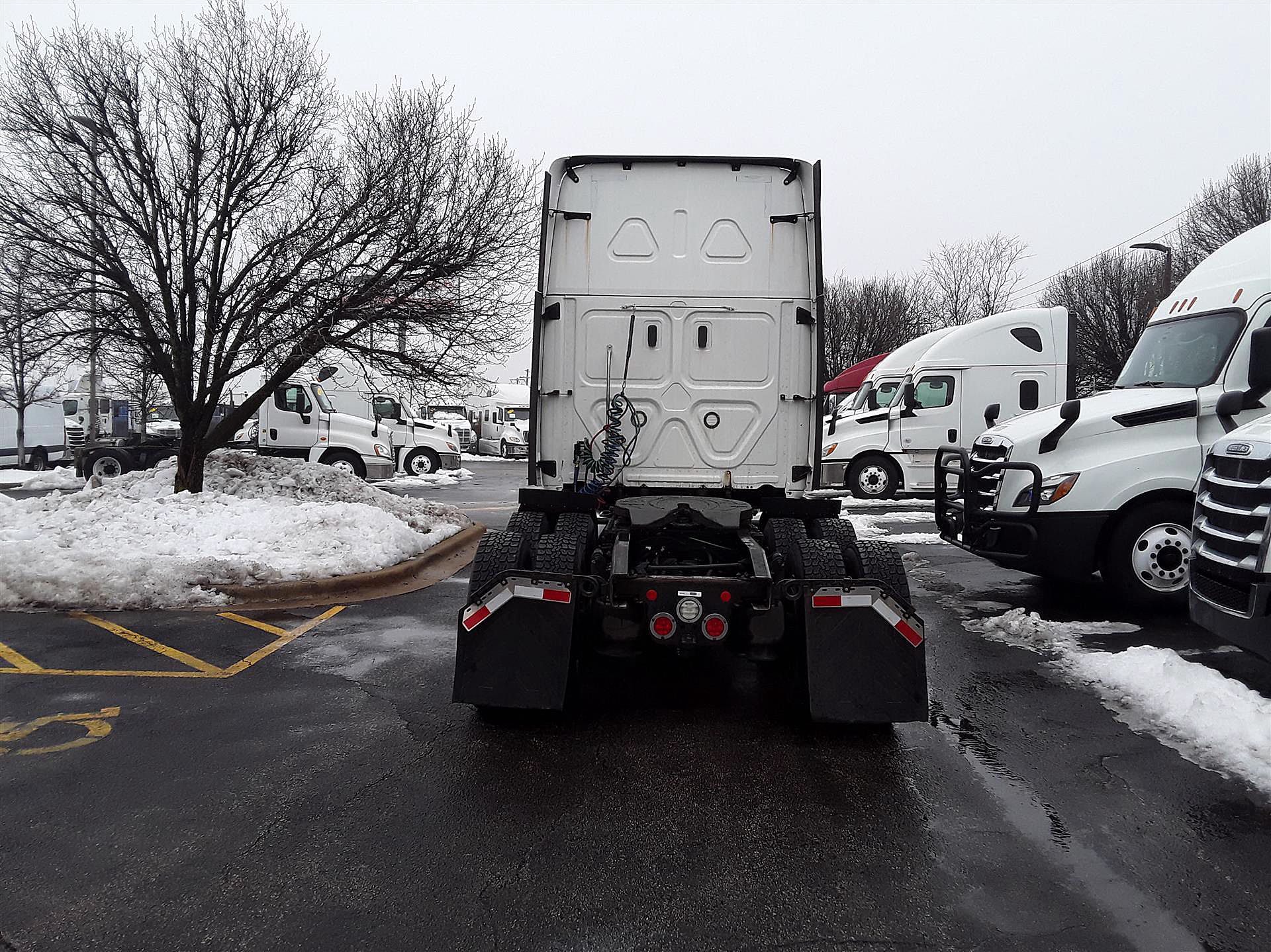 2019 Freightliner NEW CASCADIA PX12664 (For Sale) | 72" Sleeper | #807479