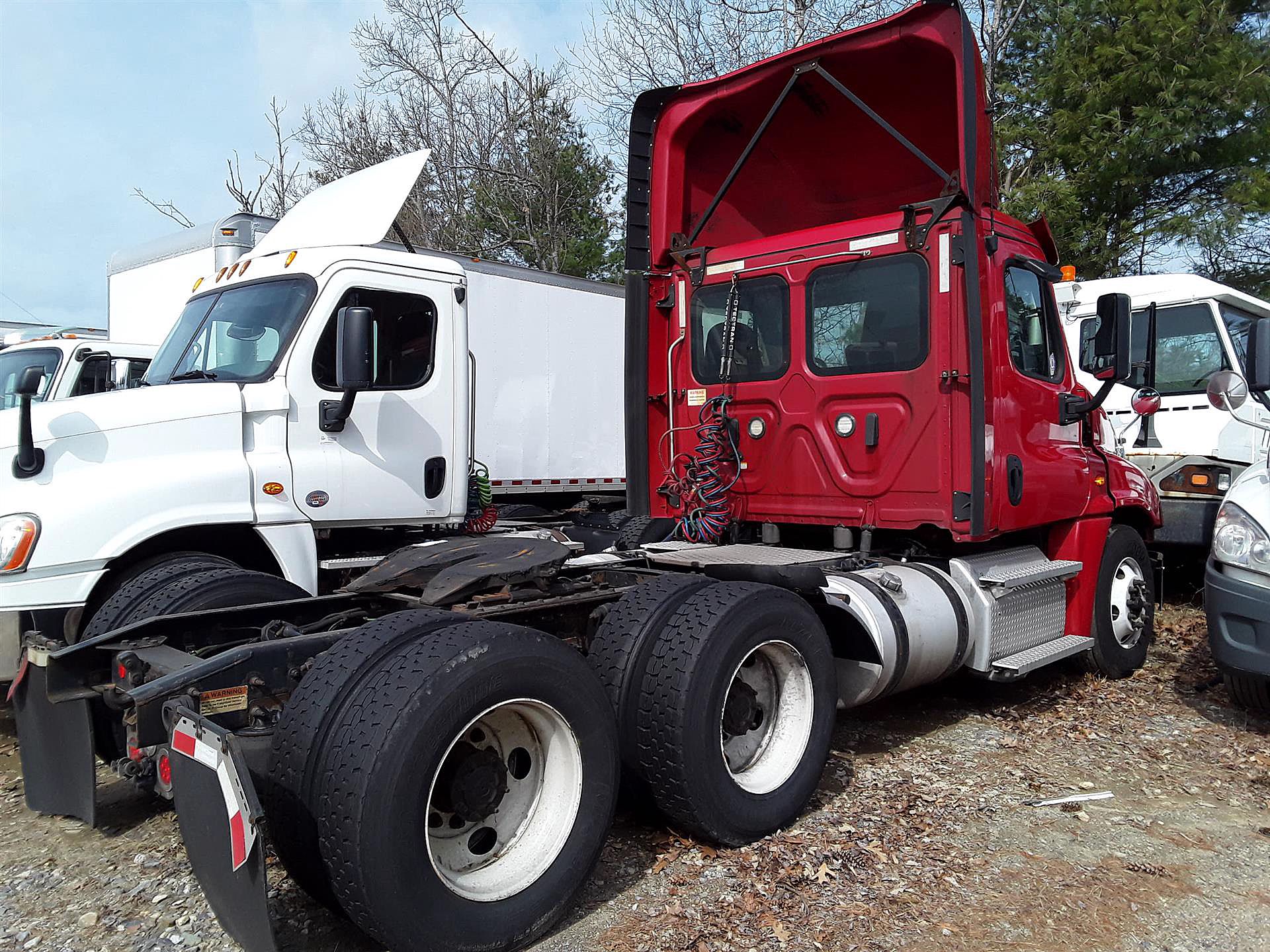 2019 Freightliner CASCADIA 125 For Sale | Day Cab | #804382