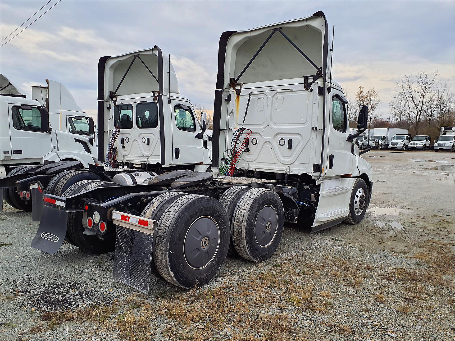 2019 Freightliner NEW CASCADIA PX12664 For Sale | Day Cab | #870328