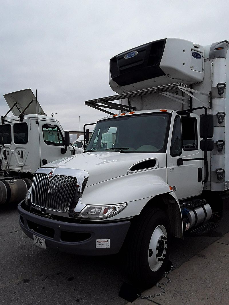 2019 International DuraStar 4300 For Sale | Day Cab | #812261