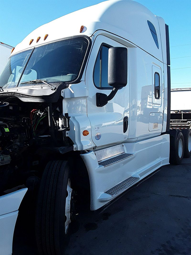 2020 Freightliner CASCADIA 125 For Sale | 72" Sleeper | #879609
