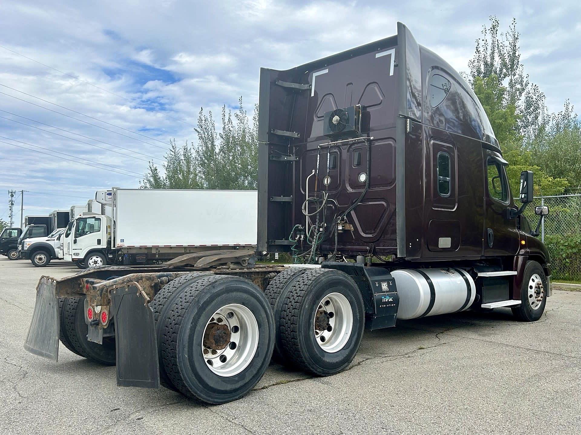 2019 Freightliner CASCADIA 125 For Sale | 72" Sleeper | #810124