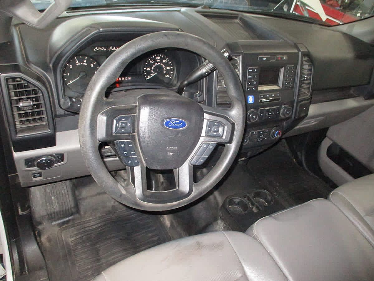 2019 Ford F150 XL 4X4 For Sale | Cargo Van | #279269