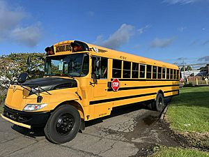 2026 IC School Buses For Sale (New & Used)