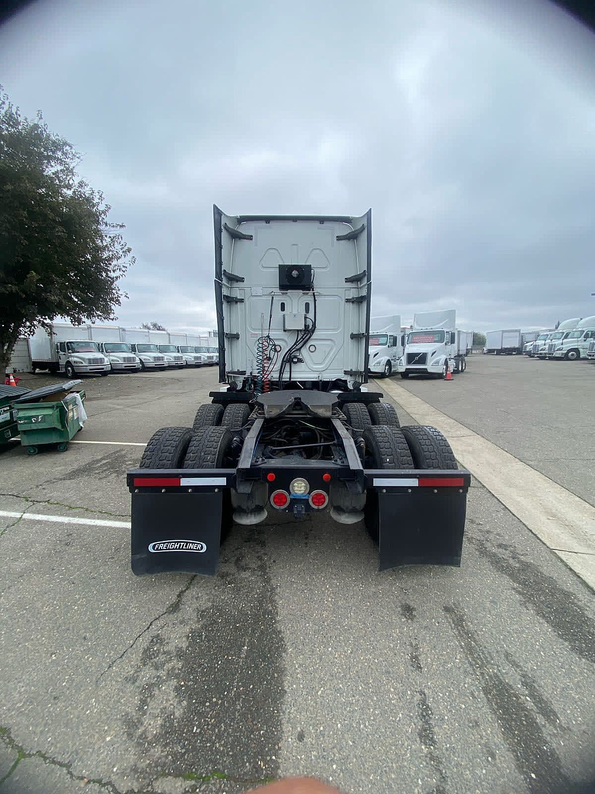 2020 Freightliner NEW CASCADIA PX12664 For Sale | 78" Sleeper | #239983